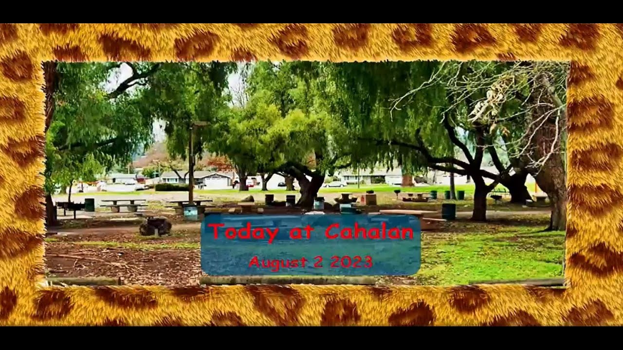 Today at Cahalan Park, August 2 2023 - YouTube