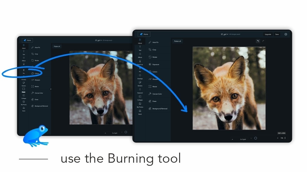 How to use the Burning tool - Ribbet web version - YouTube
