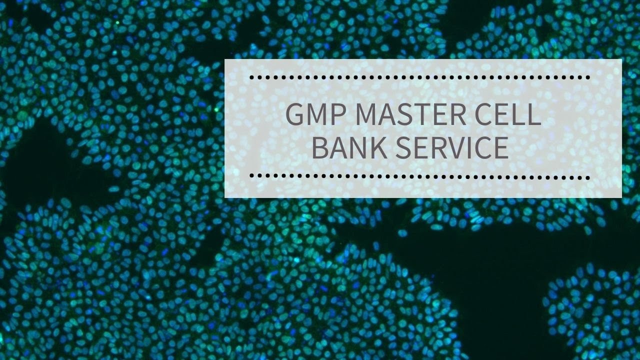 GMP Master Cell Bank Service | REPROCELL - YouTube