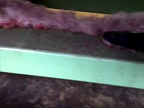 Hoovering fluff because its fun.