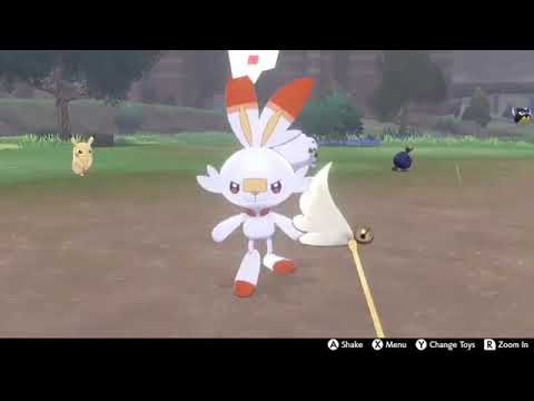 Scorbunny gets mad and kicks you in the nuts - YouTube