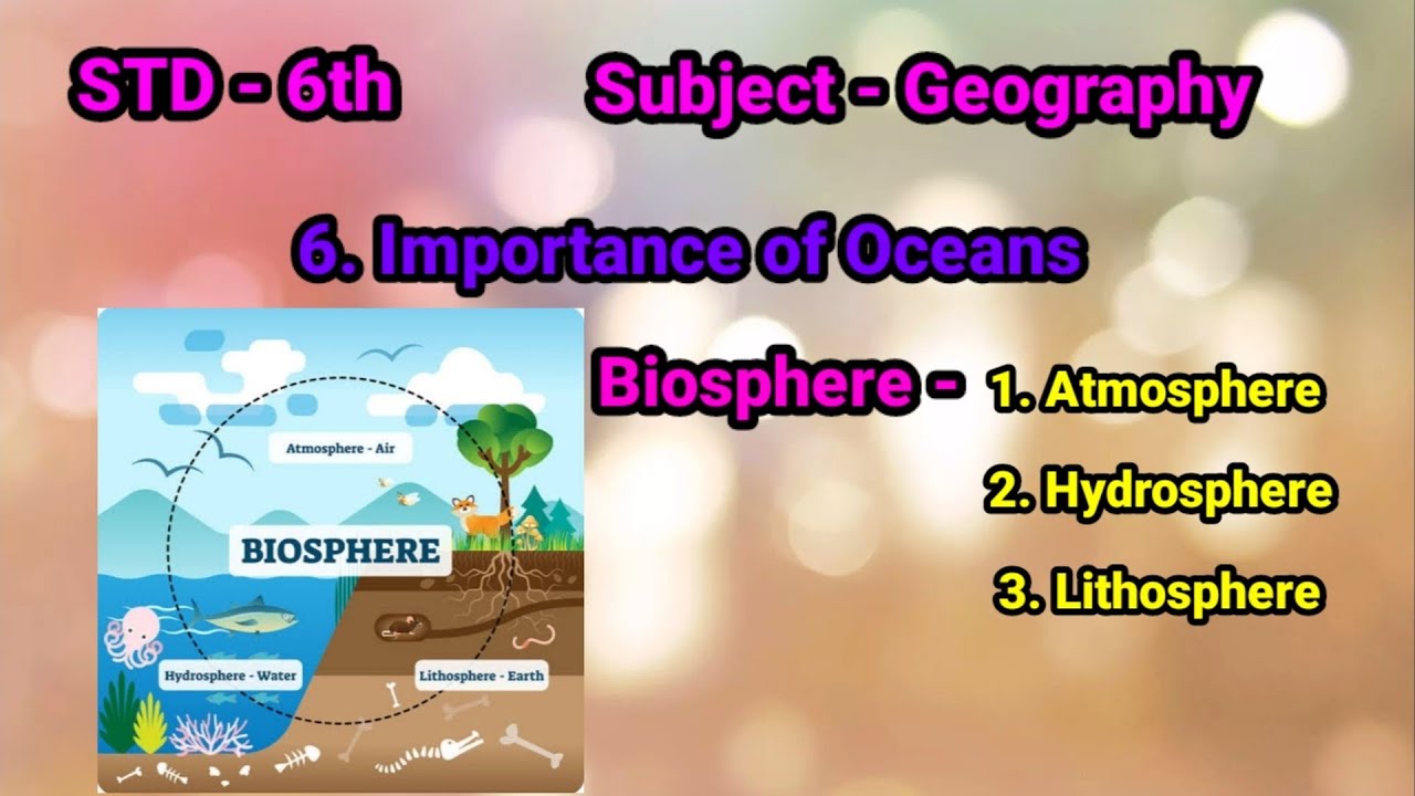STD 6th Geography | 6.Importance of Oceans (Part 2) | English medium ...