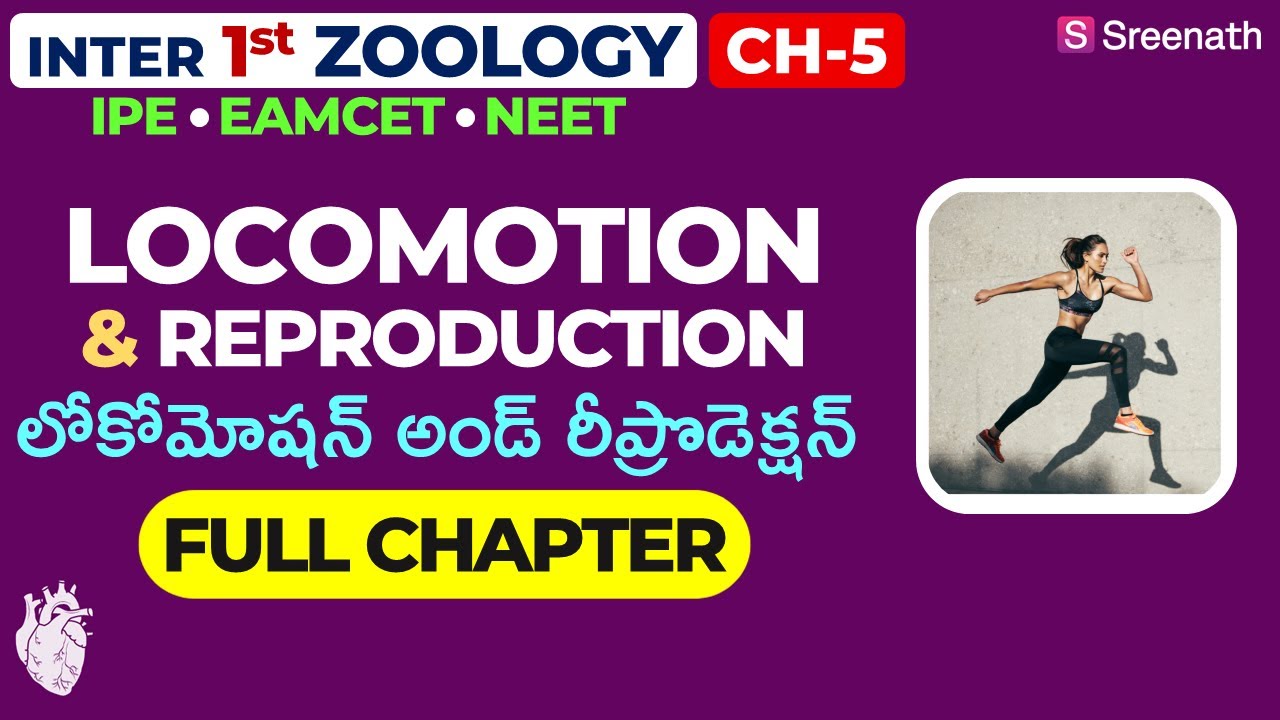 Locomotion and Reproduction: Full Chapter in తెలుగు | TS/AP Inter 1st Year Zoology | Chapter 5 ...