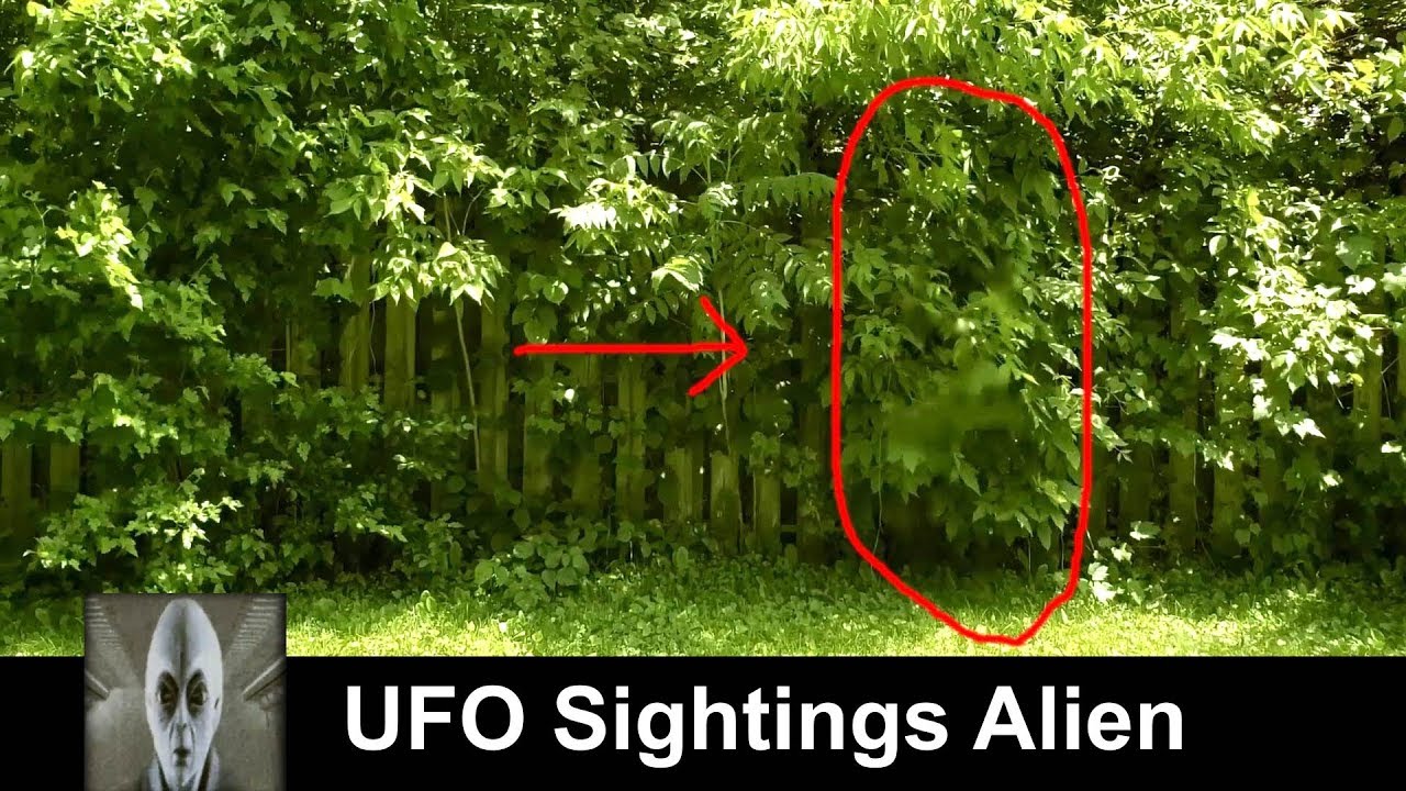 UFO Sightings Alien Spotted On Security Camera - YouTube