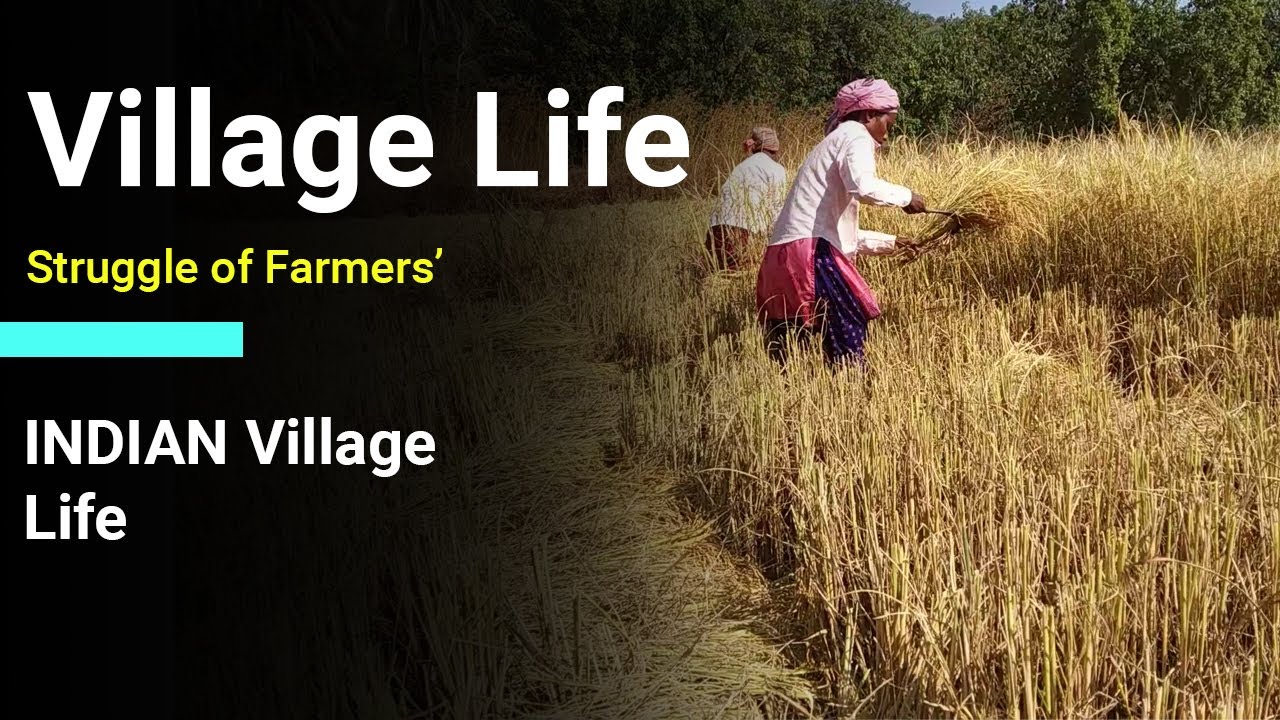 Village Life || Indian Village Style || Part 1 - YouTube
