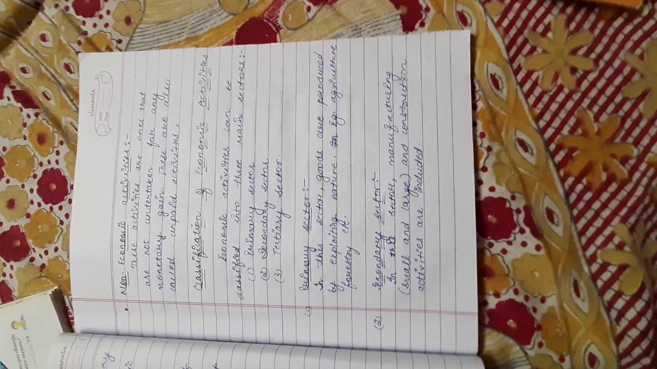 Class 9. Eco. Ch 2 People as resource. Lecture 2 - YouTube