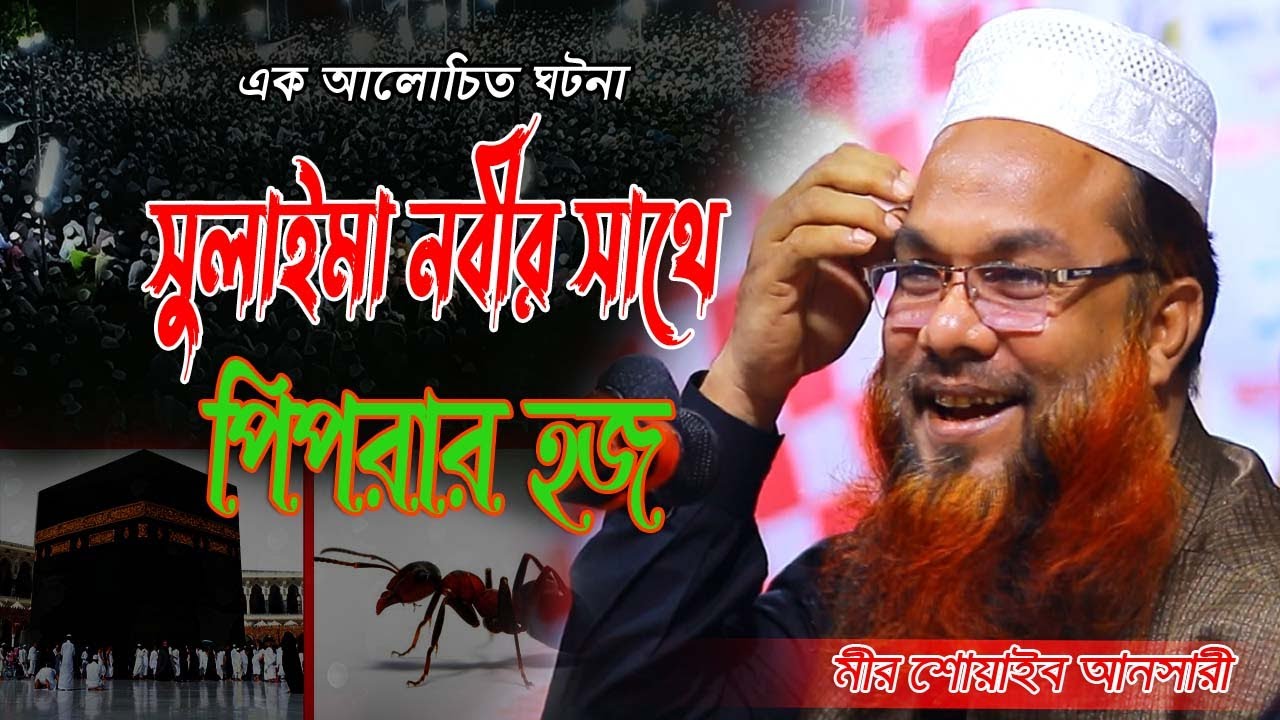 bangla jalsa সুলাইমান নবীর সাথে পিপড়ার হজ bangla new waz 2022 মাওঃ মীর ...