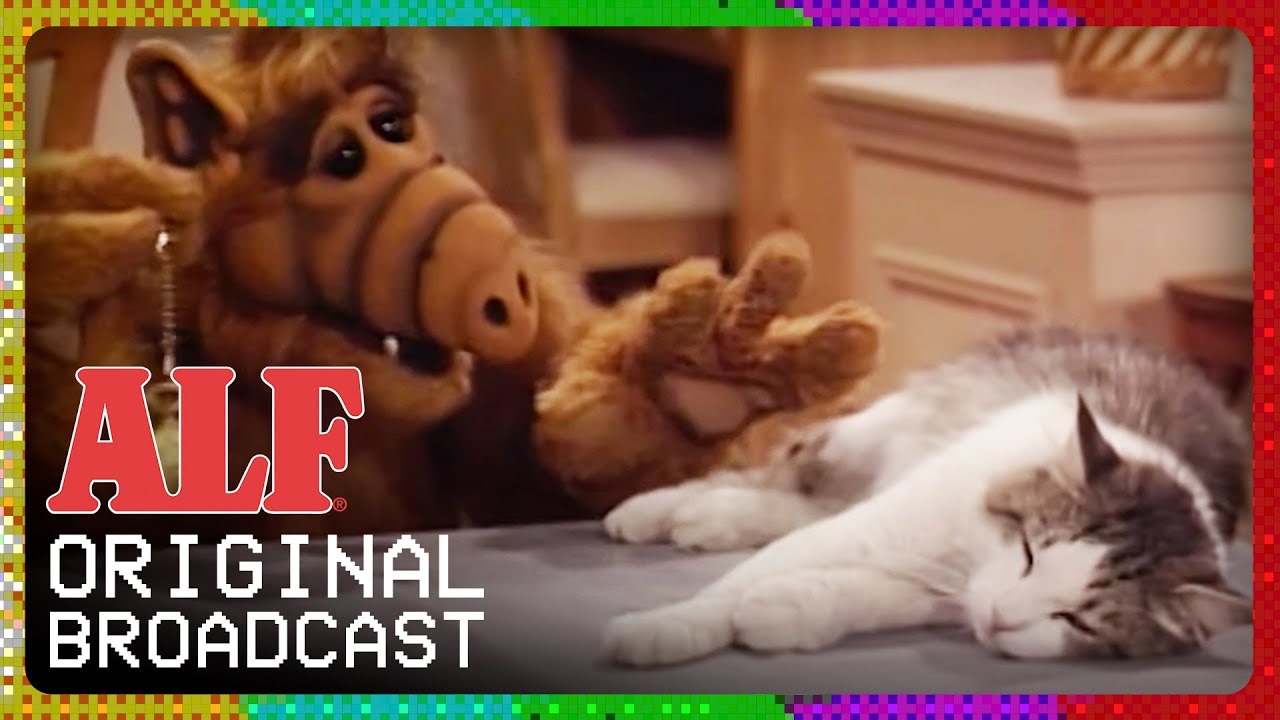 Looking For Lucky | ALF | Original Broadcast FULL Episode: S1 Ep3 - YouTube