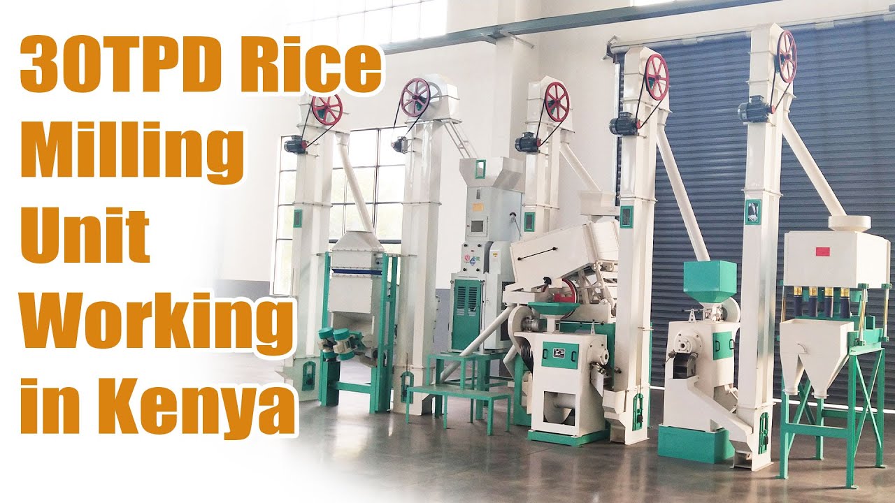 Unlocking the Potential of Rice Processing: A Glimpse into Our 30-Ton ...