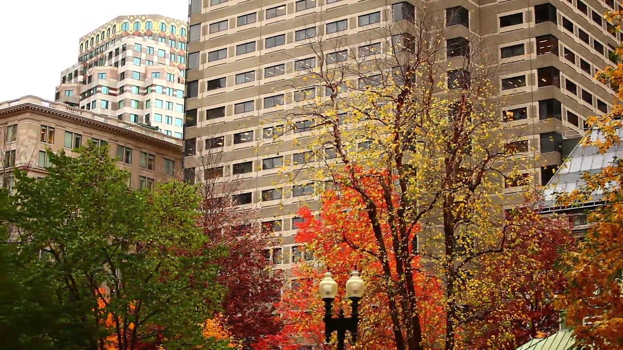 pan across autumn trees in city square - YouTube