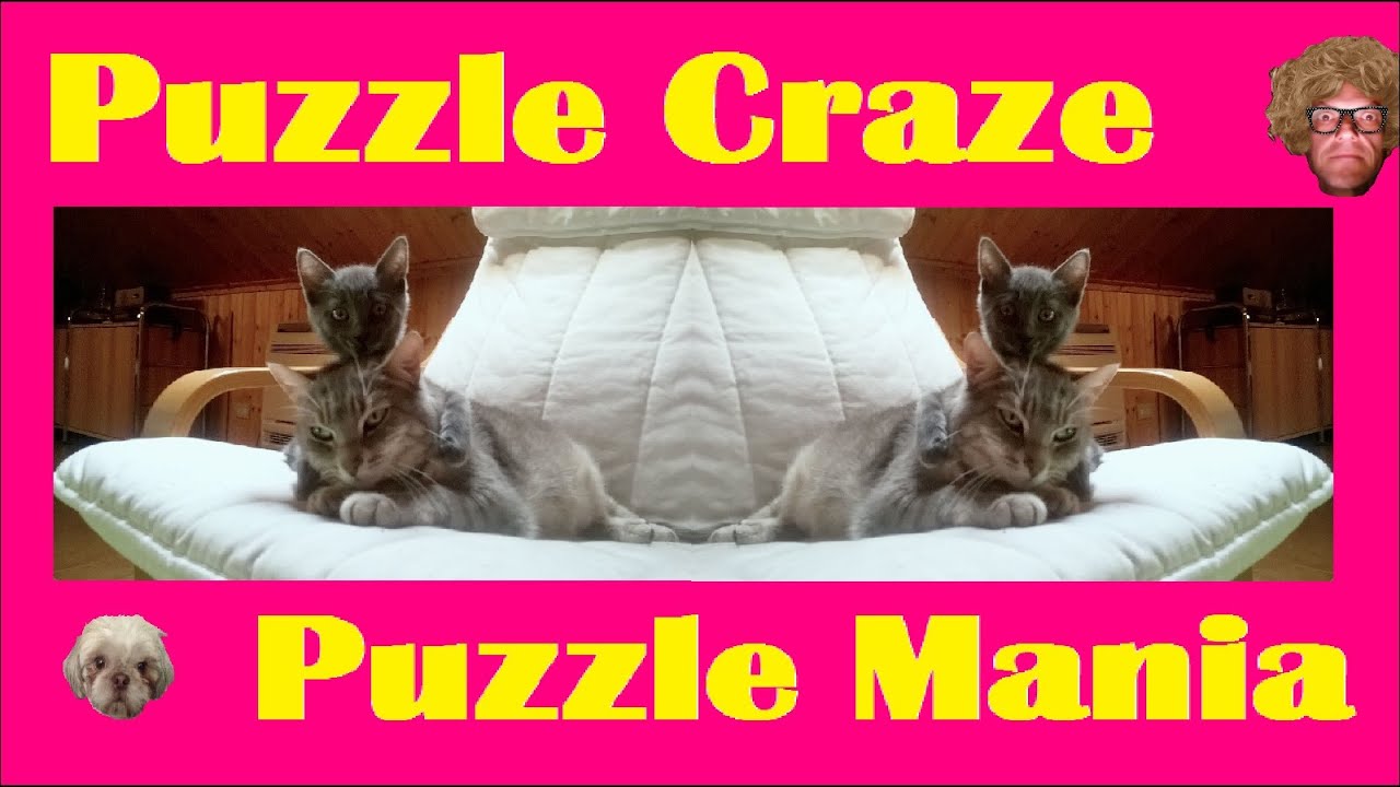 Puzzle craze 2 ; Puzzle mania (Animals). - YouTube