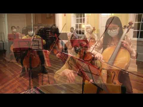 Camerata Strings: Carl Nielsen's Little Suite for Strings, Op. 1, Mvt 2 - YouTube