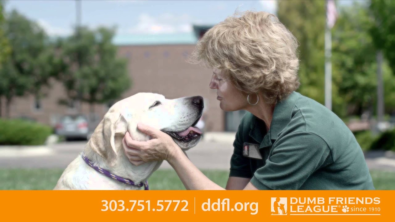 Denver Dumb Friends League Commercial - YouTube