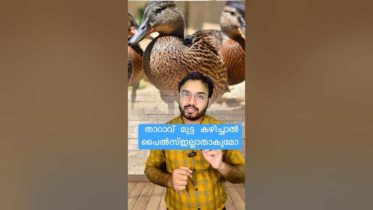 താറാവ് മുട്ട പൈൽസിന് നല്ലതാണൊ Malayalamhealthtips Piles Shorts