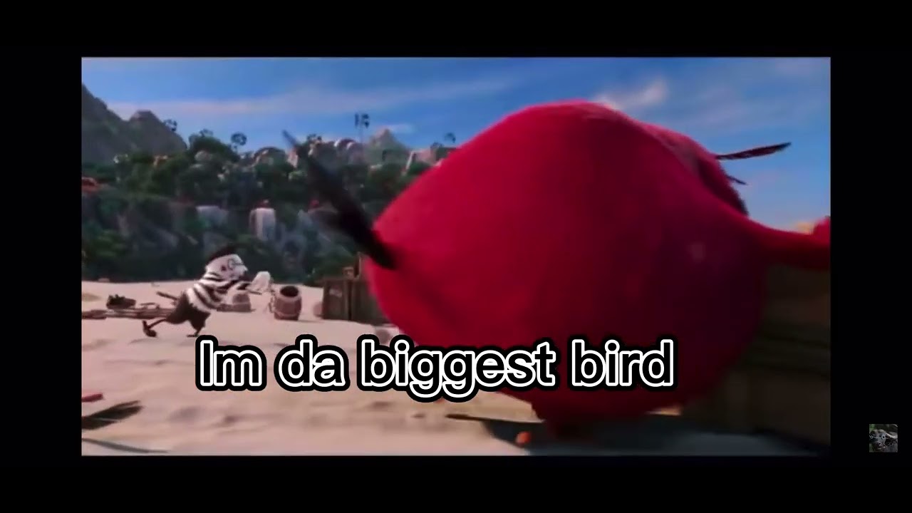 IM DA BIGGEST BIRD😡 - YouTube