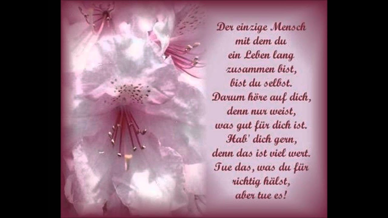 bruce springsteen paradise - YouTube Music