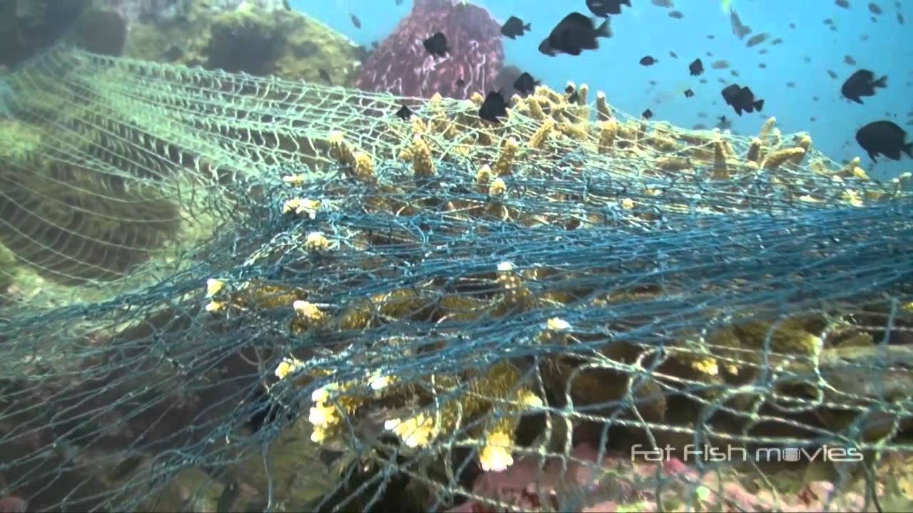 And again... Another MASSIVE Fishing Net at Chumphon Pinnacle 1.2.2013 ...