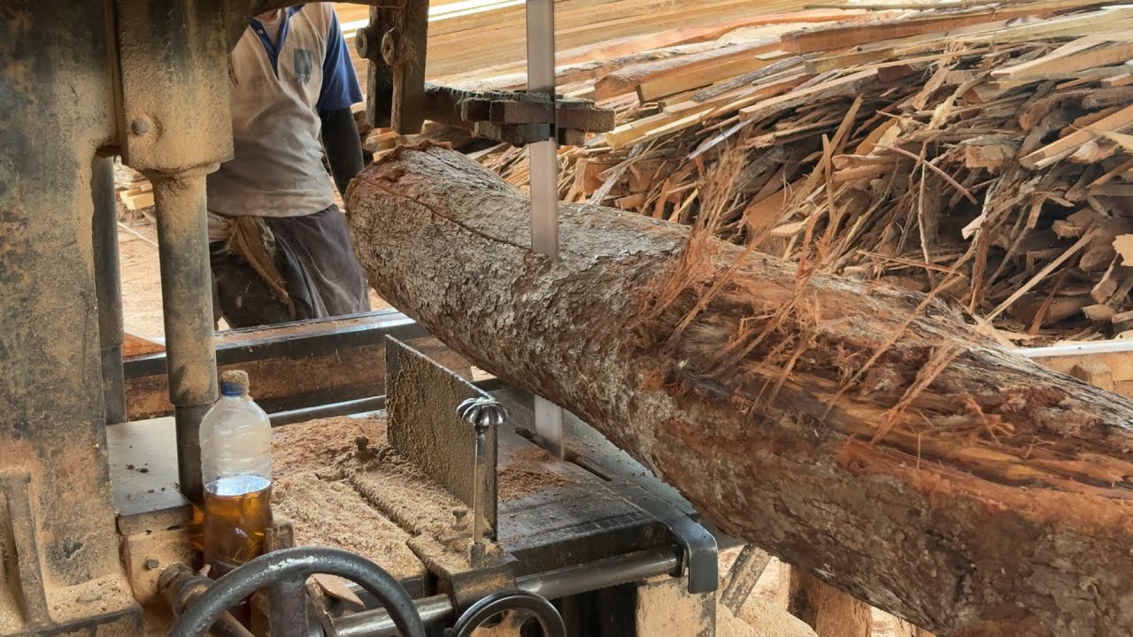 Uncovering the Magic of Wood Sawing The Complete Guide to Home ...