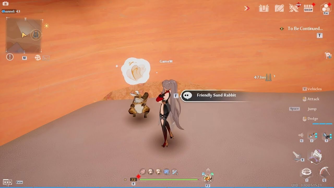 Tower of Fantasy The Friendly Little Critter Puzzle Vera - YouTube