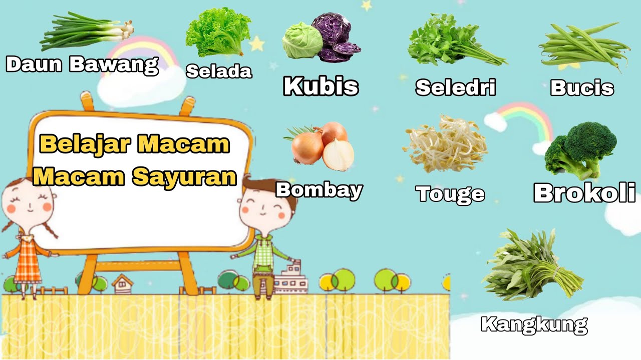 Belajar Macam Macam Sayuran - YouTube