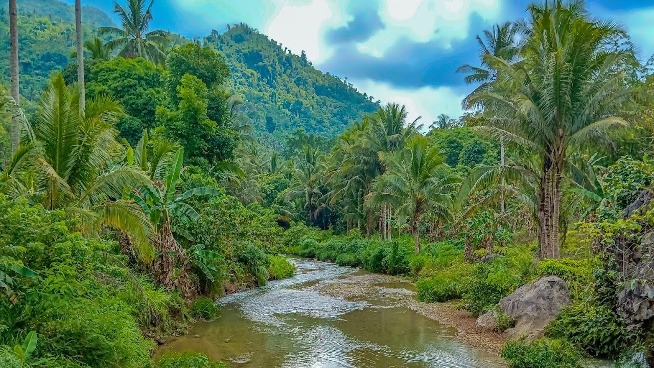 ang ganda ng lugar na may sapa @brgy. tabunan cebu city - YouTube