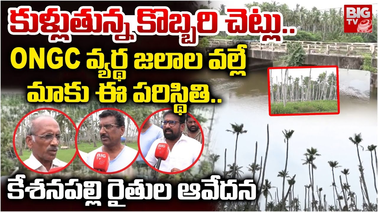 ONGC వ్యర్థ జలాల వల్లేమాకు ఈ పరిస్థితి..| Kesanapalli Coconut Farmers ...