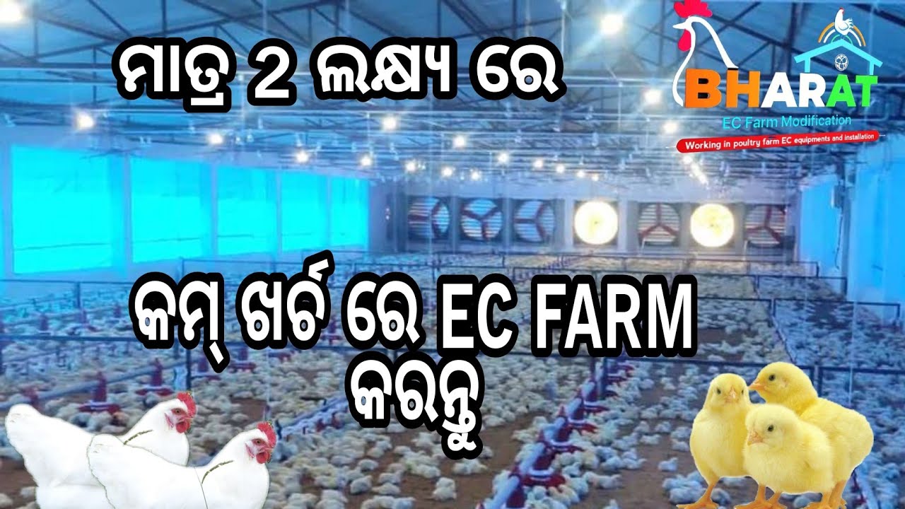 Ec farm in odisha, Ec Poultry farm. Ec equipment, - YouTube