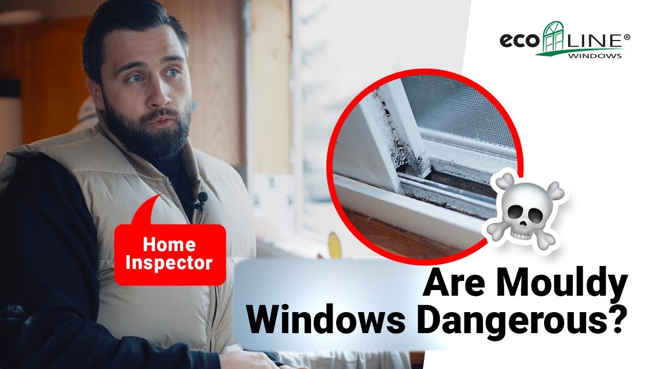 Are Mould Windows Dangerous? | Ecoline Windows - YouTube