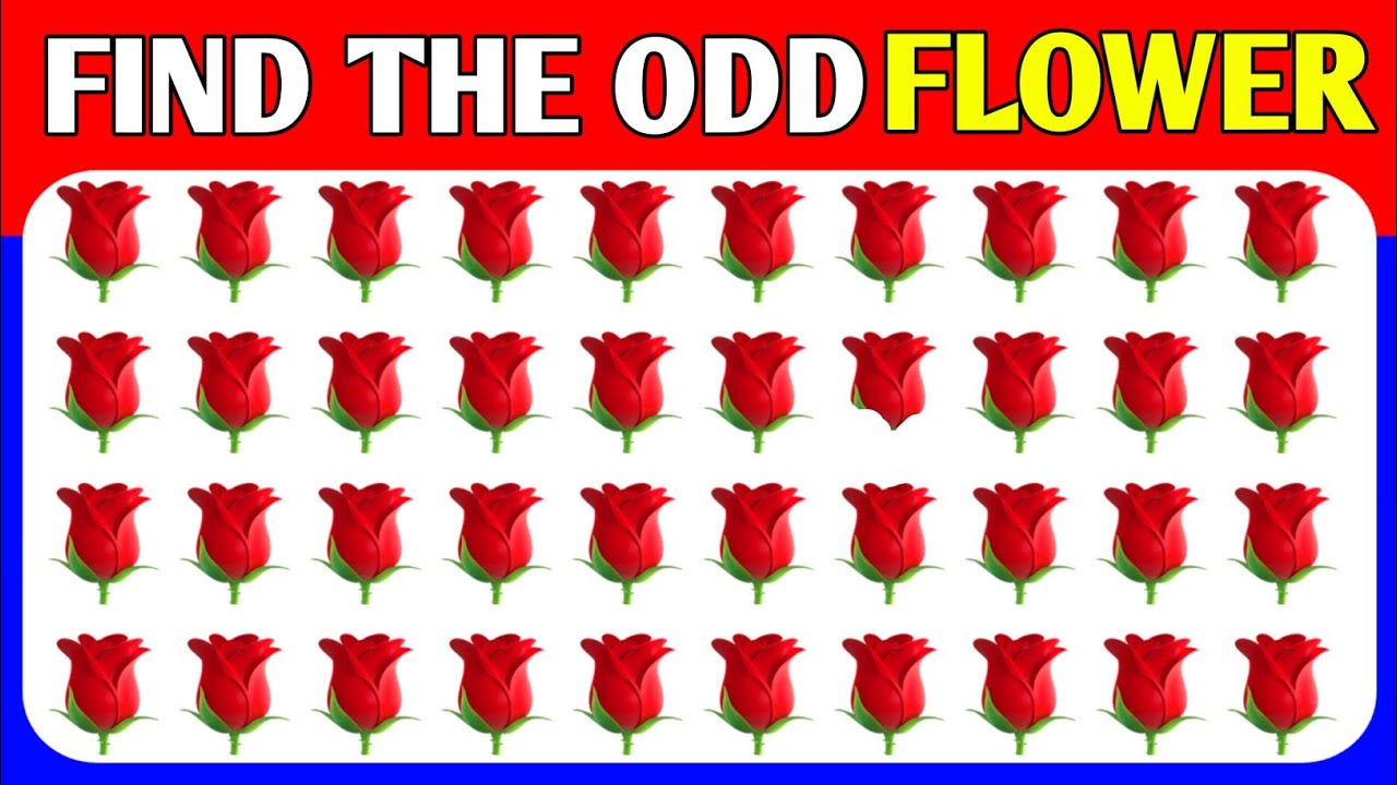 Can You find ODD FLOWERS? 🤔 ODD One Out Challenge! - YouTube