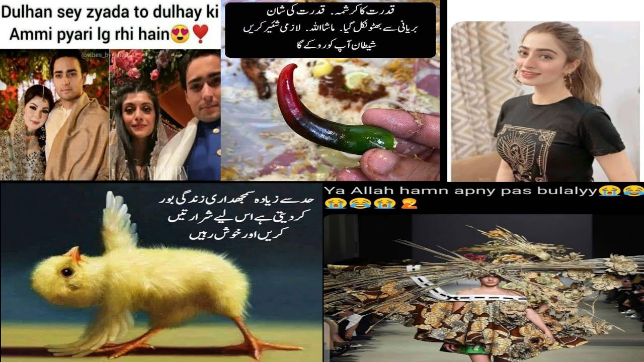 Funny jokes in urdu/Latifay in urdu/Aaj ka lateefah/funny latifay in ...