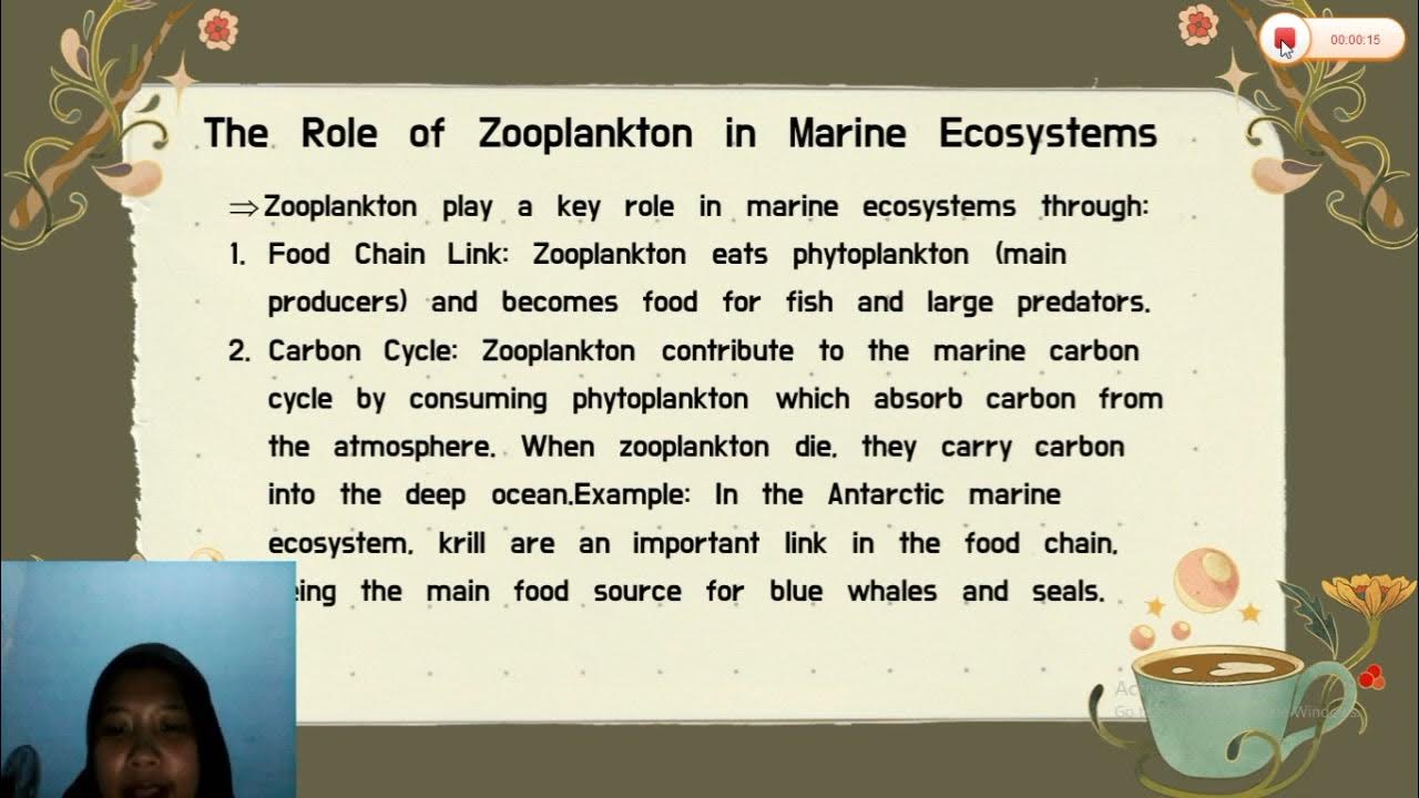 Zooplankton : Role, Classification and Challenges in Marine Ecosystems ...