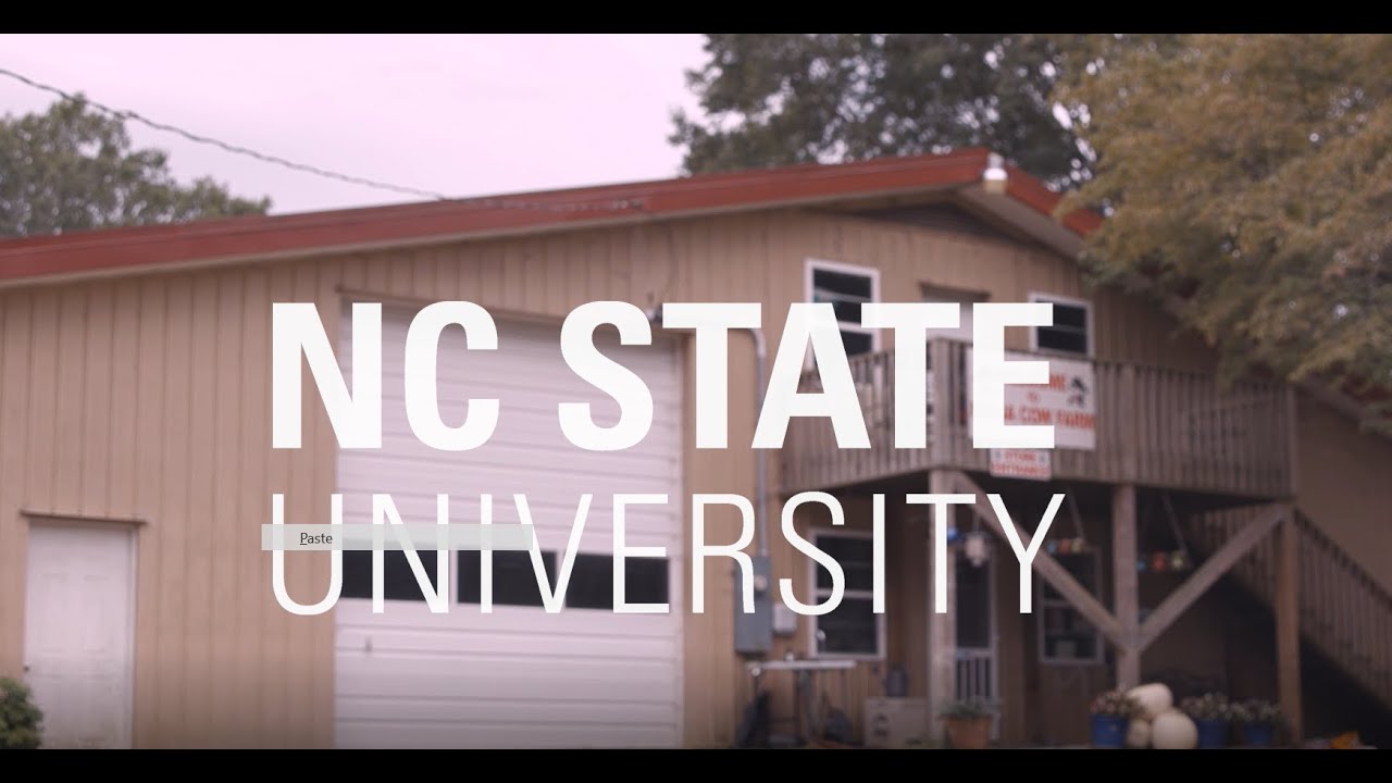 P1t virtual visit to Ninja Cow farm store 360VR - YouTube