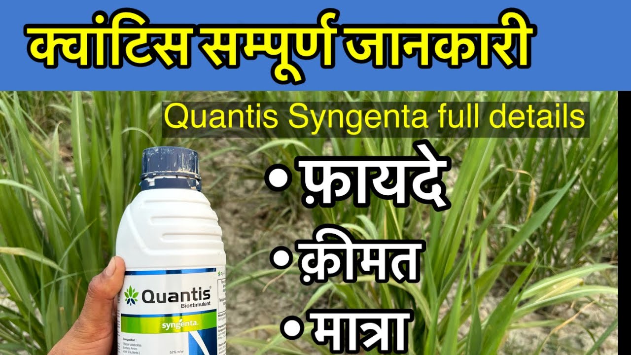 Quantis Syngenta | सम्पूर्ण जानकारी | quantis syngenta full details ...