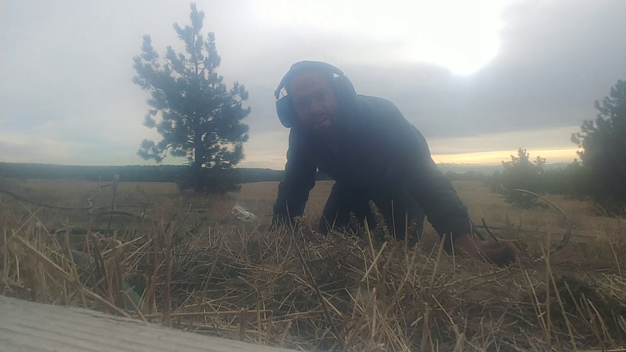 Shooting trees support video - YouTube