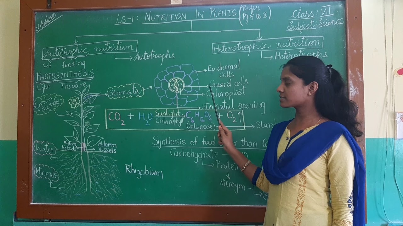 Class VII Science YouTube class-vii-science-youtube