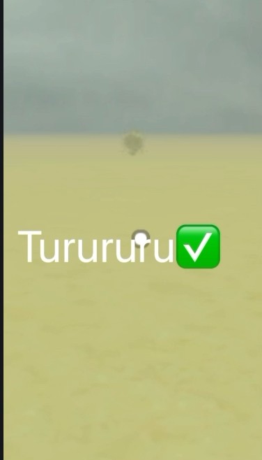 Estepicursor en dead rails #turururu #wawawa #deadrails #humor #memes ...