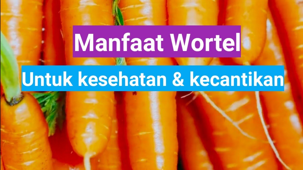 Manfaat wortel untuk kesehatan dan kecantikan - YouTube