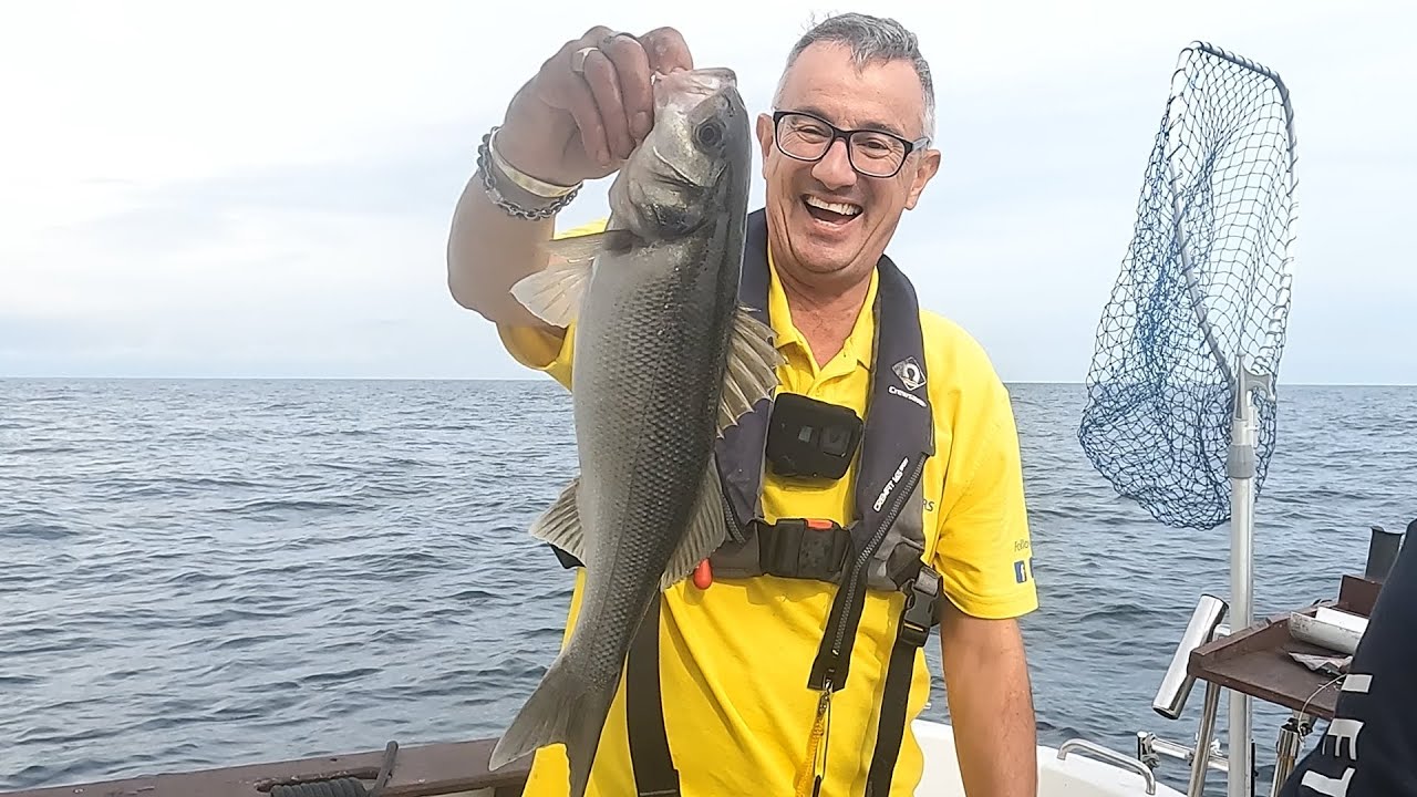 From Sea to Plate in 12hrs, Pan Fried Sea Bass. - YouTube