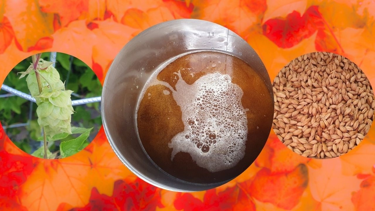 How to Brew the Most Versatile Beer Style at Home: Unlocking the Hidden ...