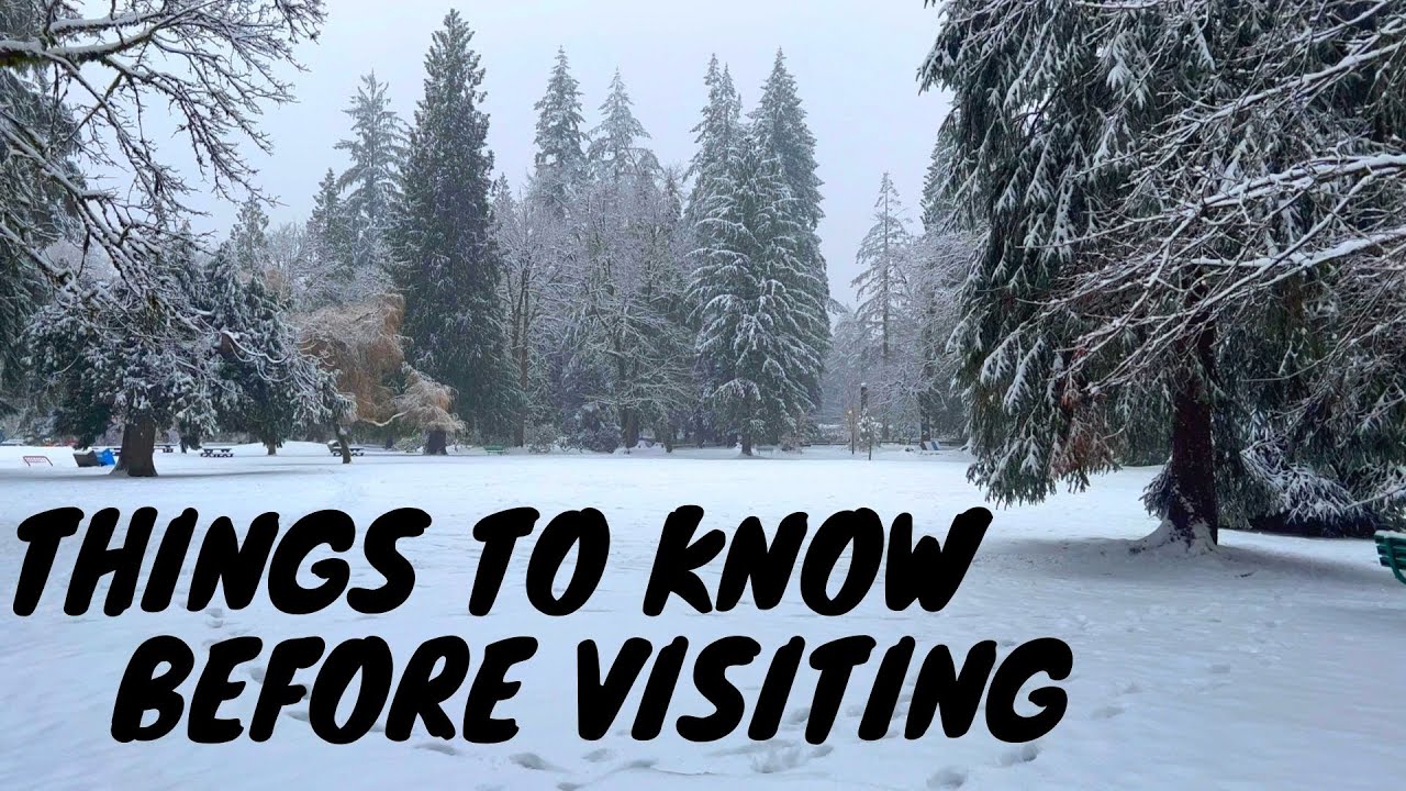 Surviving a Winter Snow Storm in Canada | Maple Ridge, BC - YouTube