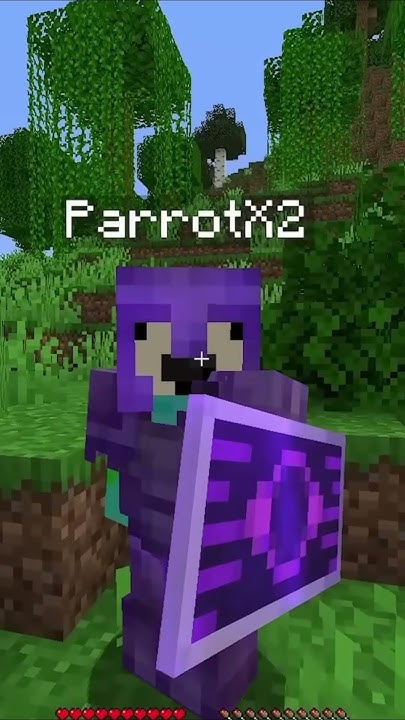 Cómo Un Simple Exploit ARRUINÓ Todo un Servidor de Minecraft! p3 # ...