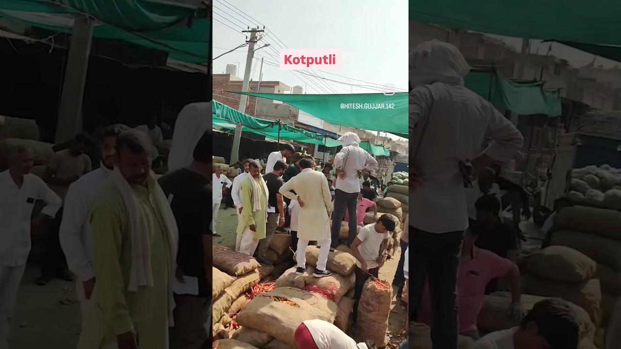 mandi kotputli #tractor #market #gajar #carrot #shorts # ...