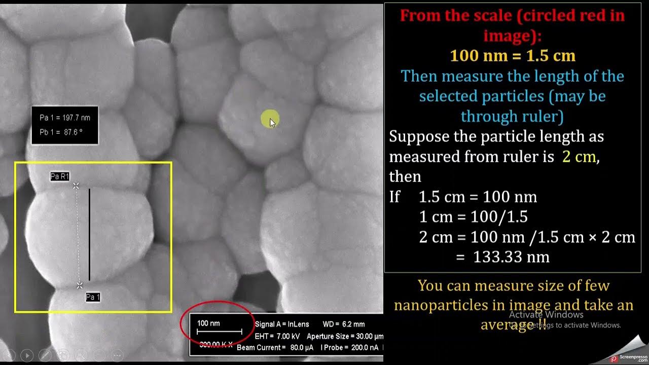 How to measure particle size of nanoparticles using SEM or FESEM images - YouTube