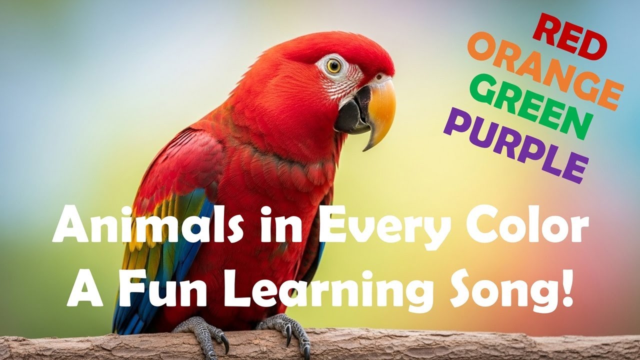 Animals in Every Color – A Fun Learning Song! - YouTube