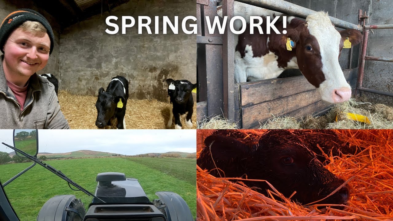 A BUSY SPRING ON THE FARM ! - YouTube