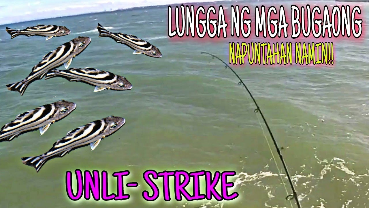 Episode 19, Lungga ng mga bugaong ang napuntahan namin || Compostela ...