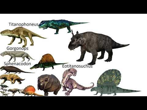 Synapsids size comparison without music - YouTube