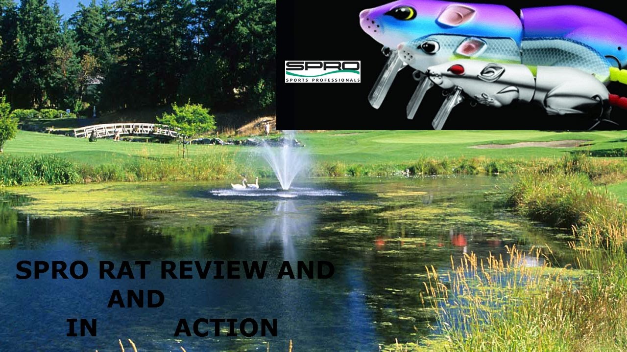 SPRO RAT MINI REVIEW AND BREAKDOWN - YouTube