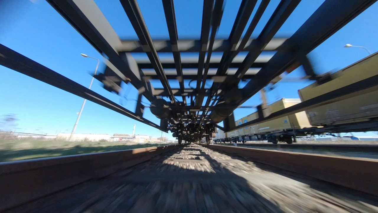 quarantine rip - no 'rona around here - YouTube