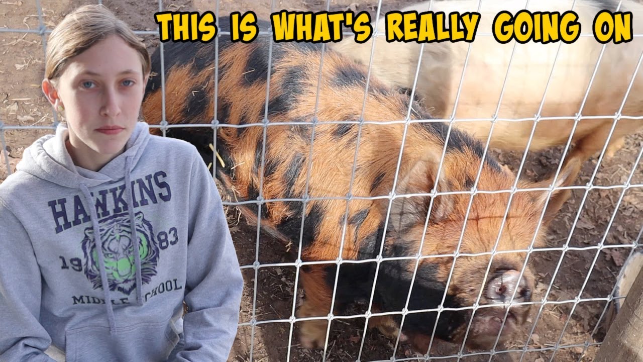 The Truth About What's Going On At Keeping It Dutch Homestead - YouTube